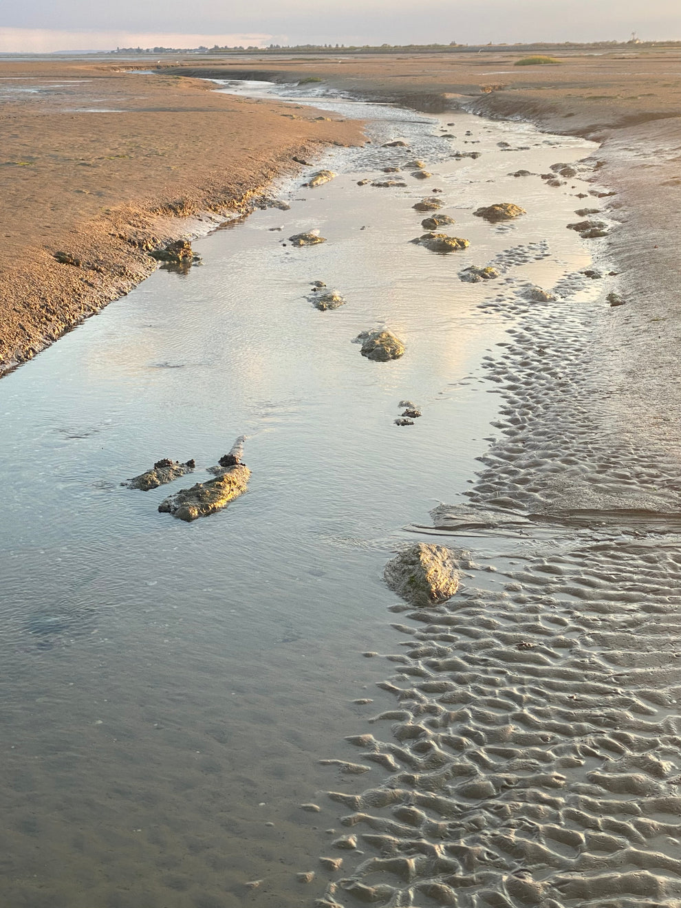 Broomway guided walk. (3 mile 2hrs or 7 miles, 4 hour options). Please ...